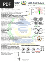 Le Carpelle : Organe des Angiospermes | PDF | Fruit | Embryon