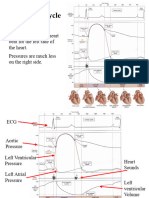 Understanding Chest Retractions | PDF | Thorax | Breathing