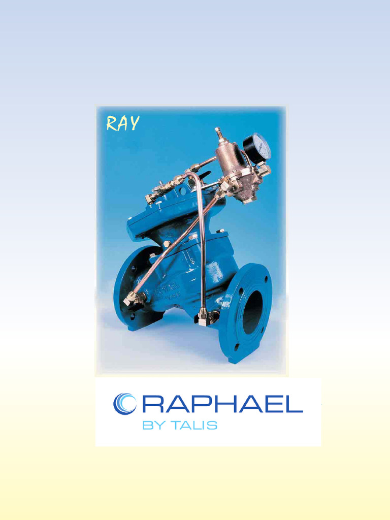 Raphael Ray | PDF | Valve | Chemical Engineering