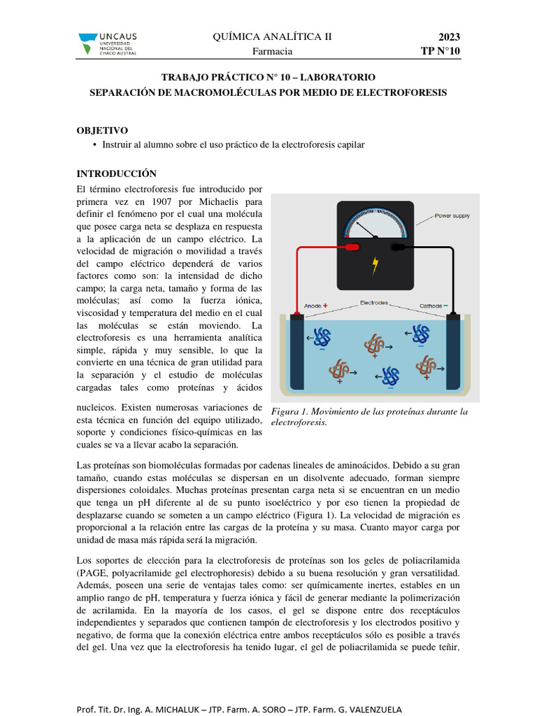 TPN°10-2023 Farmacia | PDF | Electroforesis | Química