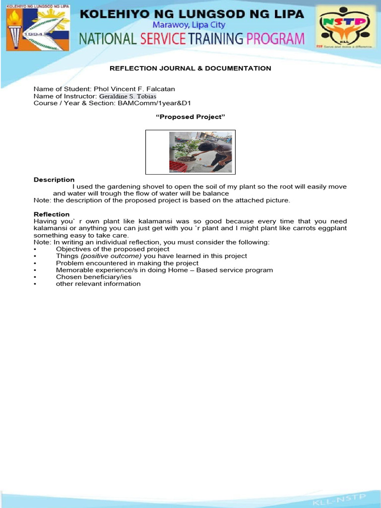 Reflection Journal and Documentation Template 2 | PDF