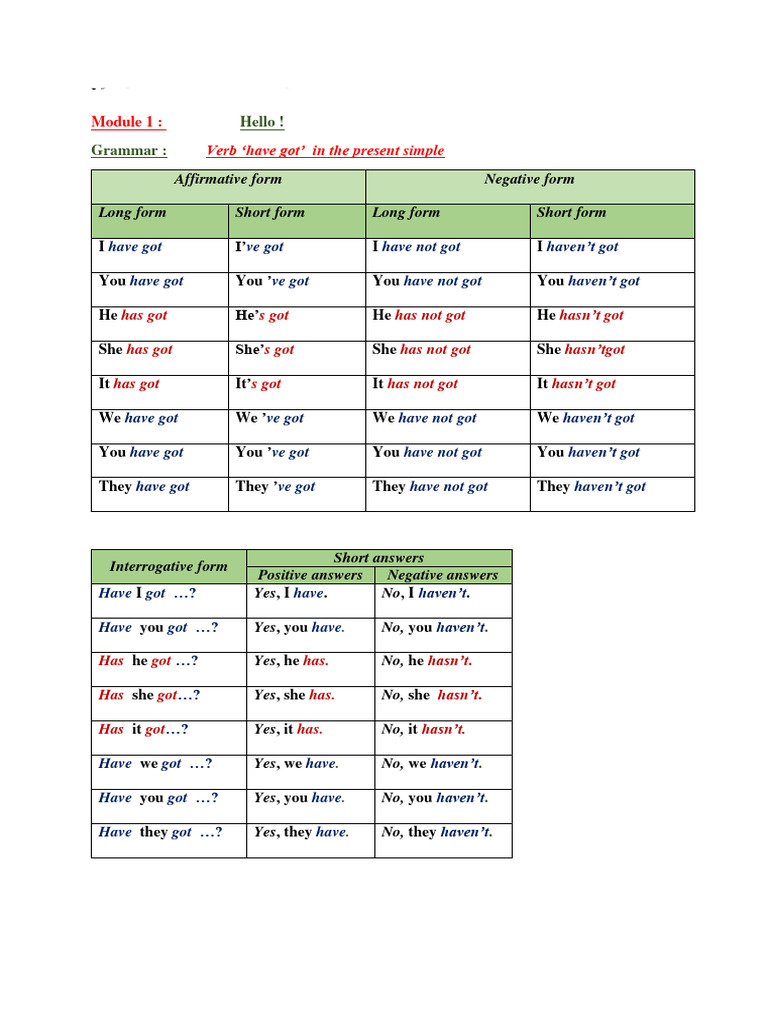 Verb Have Got' in The Present Simple | PDF