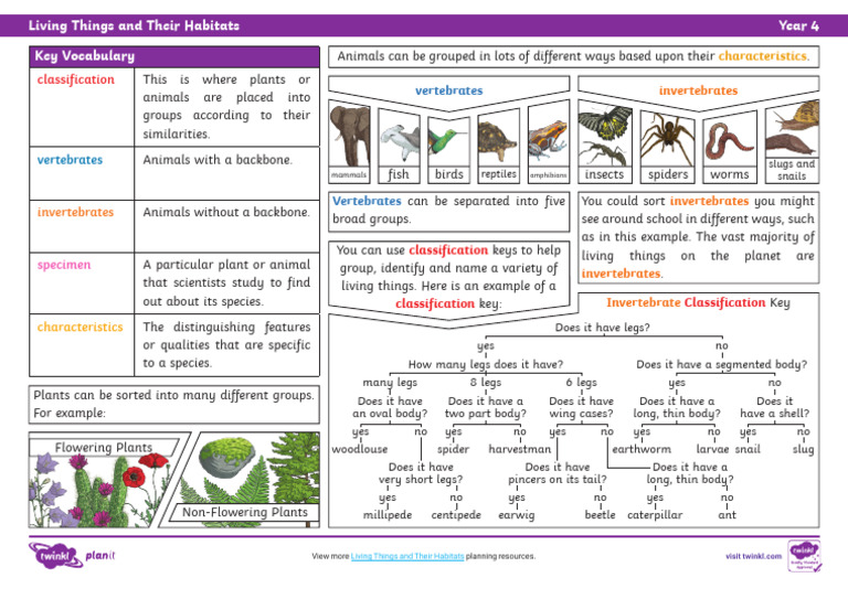 Living Things and Their Habitats-2 | PDF | Invertebrate | Vertebrates