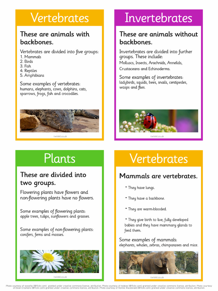 T2 S 276 Classify Living Organisms Cards Ver 3 | PDF