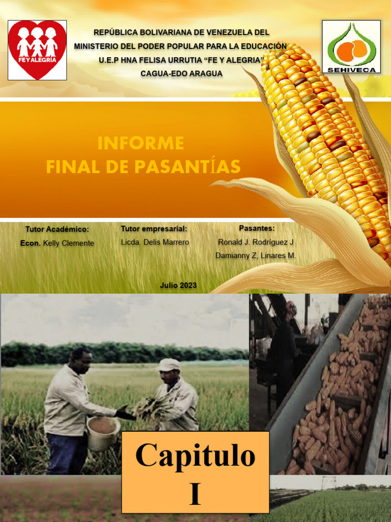 Presentacion Informe Final de Pasantias SEHIVECA | PDF | Business | Contabilidad