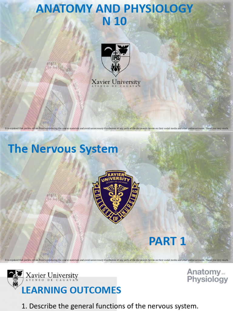 CHAPTER 8 - Nervous System | PDF | Myelin | Nervous System