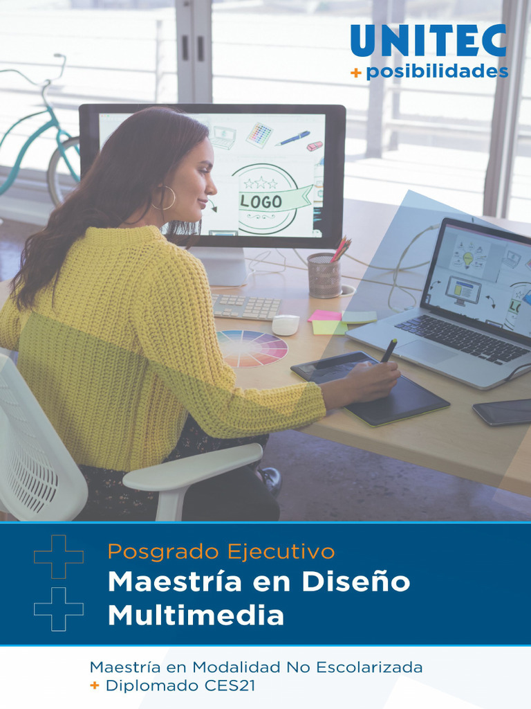 Diseno Multimedia | PDF