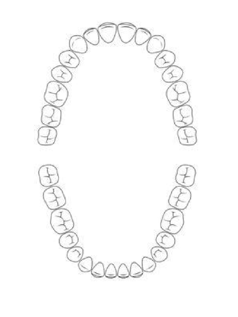 Arcada Dentaria | PDF