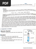 Lime Water Experiment | PDF