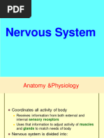 ALS Functional Rating Scale Revised Fill in Form | PDF | Diseases And ...