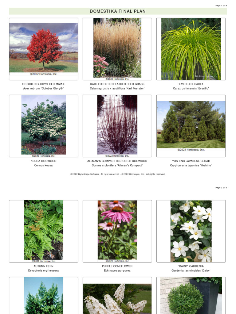 Catálogo de Imágenes de Plantas 2 | Download Free PDF | Plants | Botany