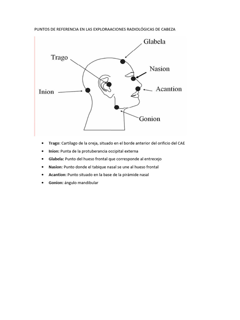 Puntos de Referencia en Las Exploraaciones Radiológicas de Cabeza | PDF