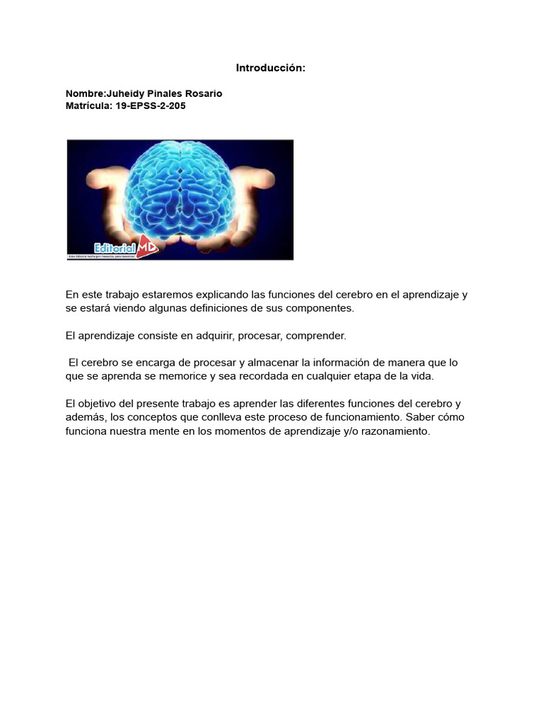 Funciones Del Cerebro En El Aprendizaje Pdf Cerebro Aprendizaje