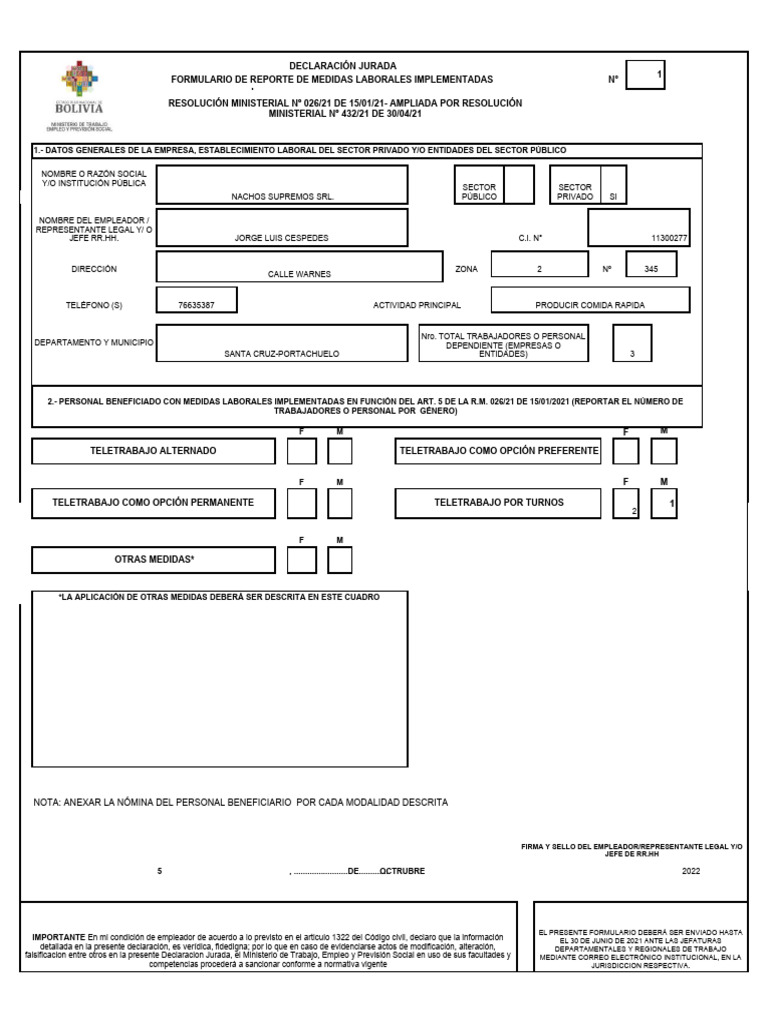 Formulario de Reporte Medidas Laborales | Descargar gratis PDF | Gobierno