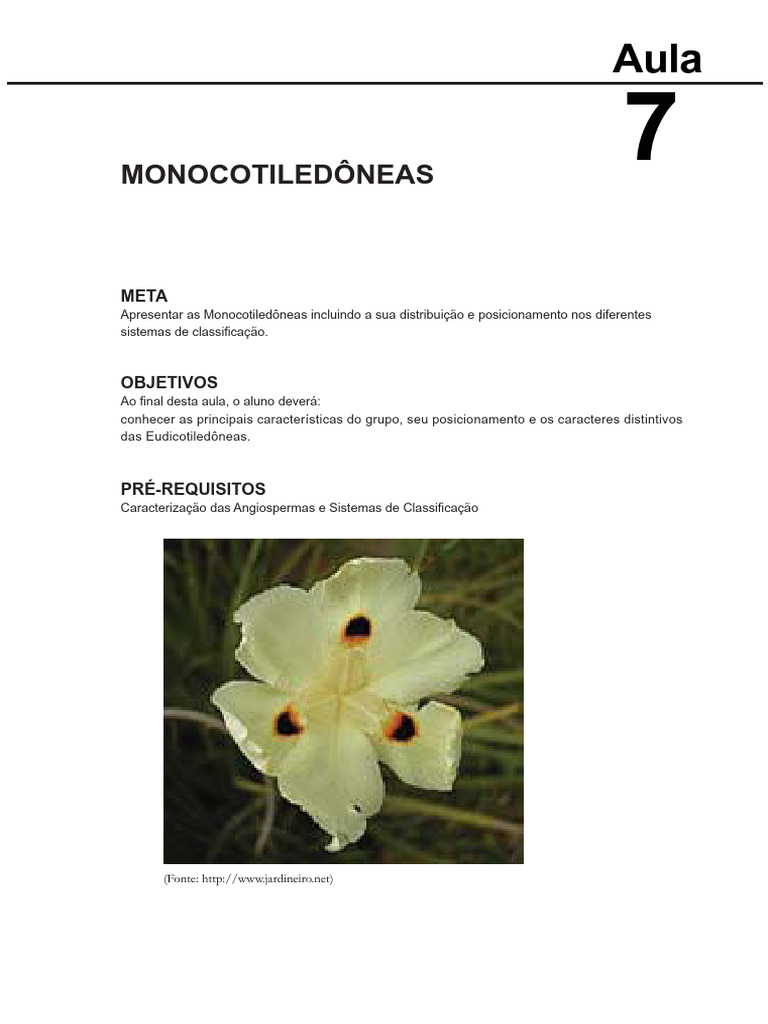 Características das Monocotiledôneas | PDF | Arecaceae | Fruta