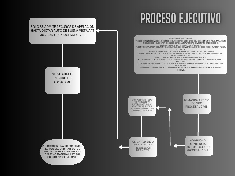 Flujograma Ejecutivo | Descargar gratis PDF | Ley procesal | Judicaturas