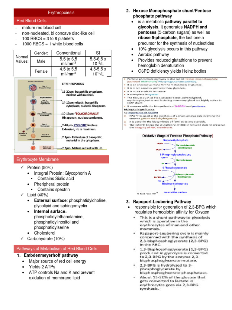 Hema Midterm Trans | PDF | Anemia | Hemoglobin