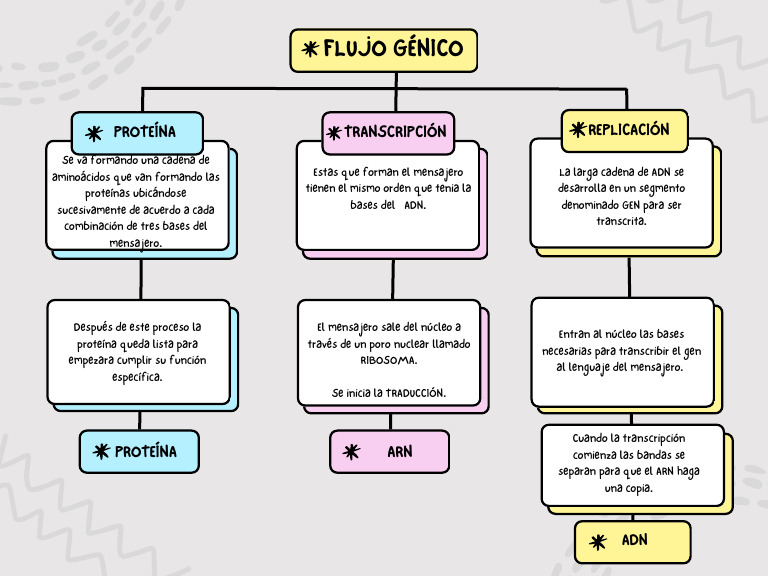 Flujo Génico. | PDF