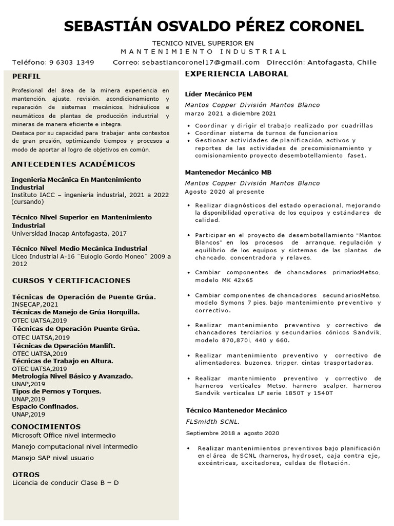 CV Sebastian Perez Coronel | PDF | Business | Ingeniería