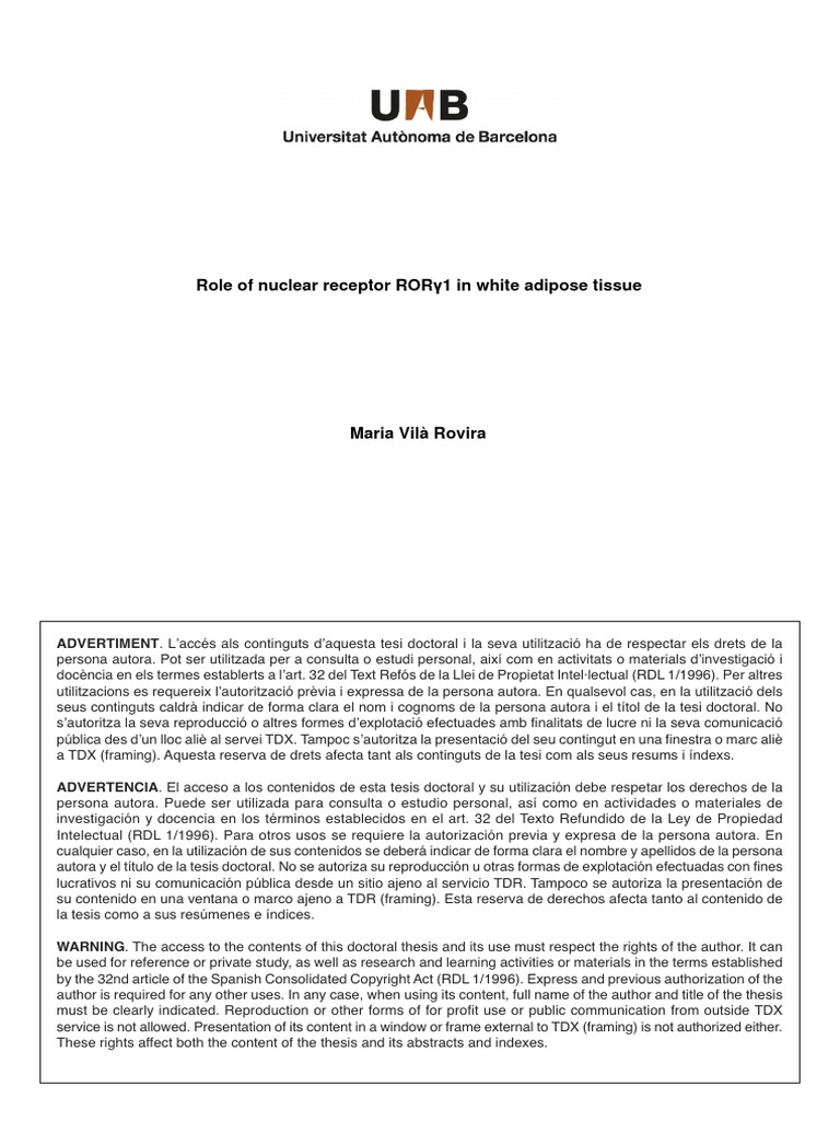 MVR 1 de 1 | PDF