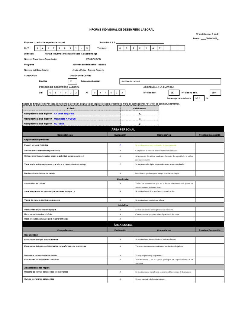 Informe de Desempeno Laboral | PDF | Evaluación | Business