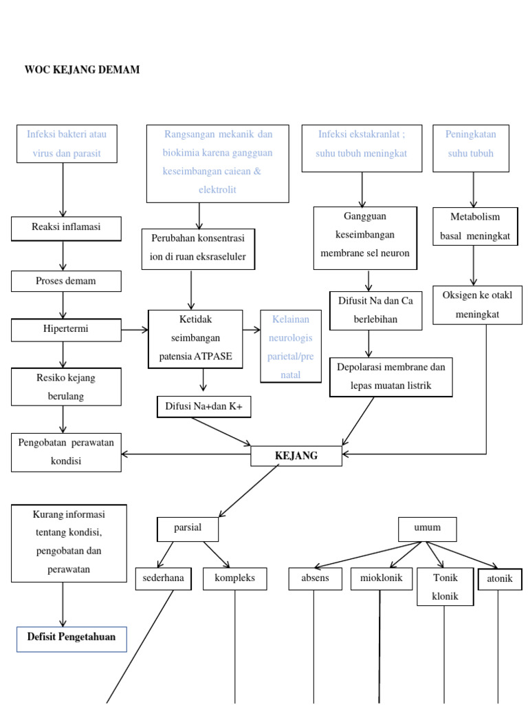 Woc Kejang Demam | PDF