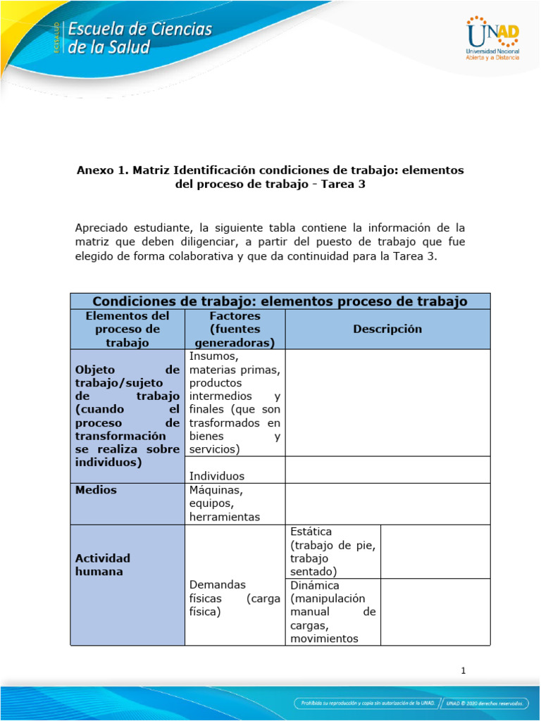 Anexo 1 - Matriz Identificación Condiciones de Trabajo Elementos Del ...