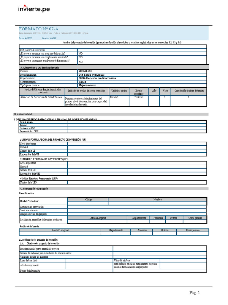 Formato en Blanco 07 A para Llenado | PDF | Inversiones | Tasa interna ...