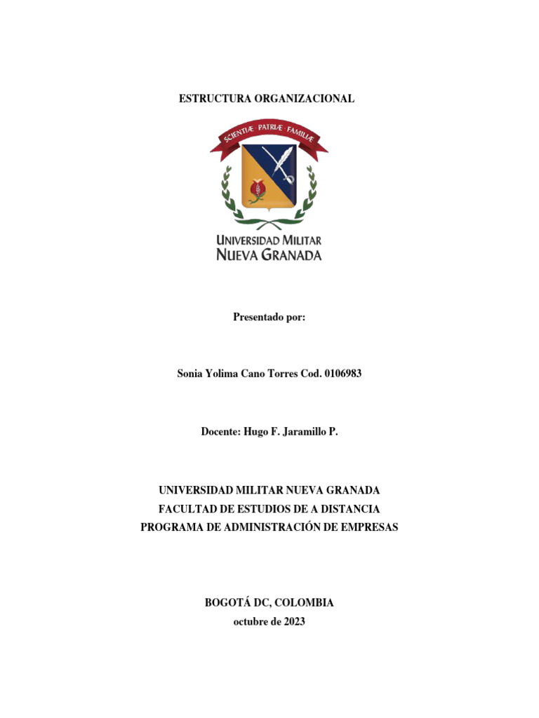 ESTRUCTURA ORGANIZACIONAL 2 Semestre-Comprimido | PDF | Business | Negocios económicos