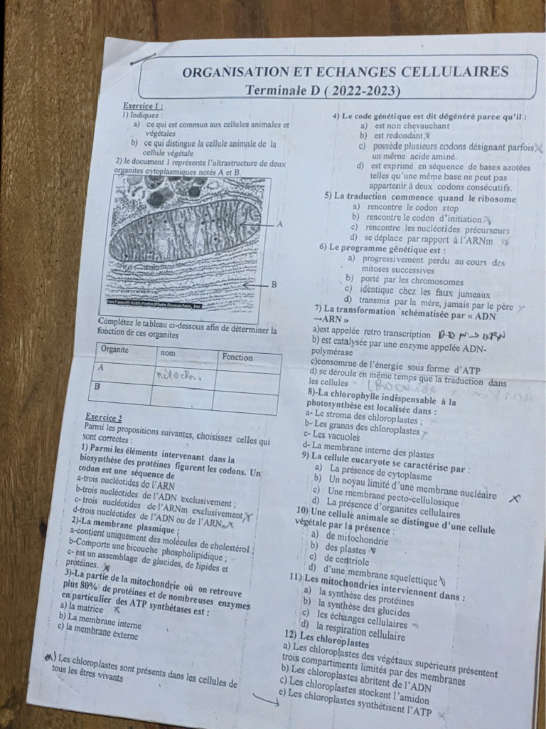 Cromab SVT TD BHFGJ | PDF