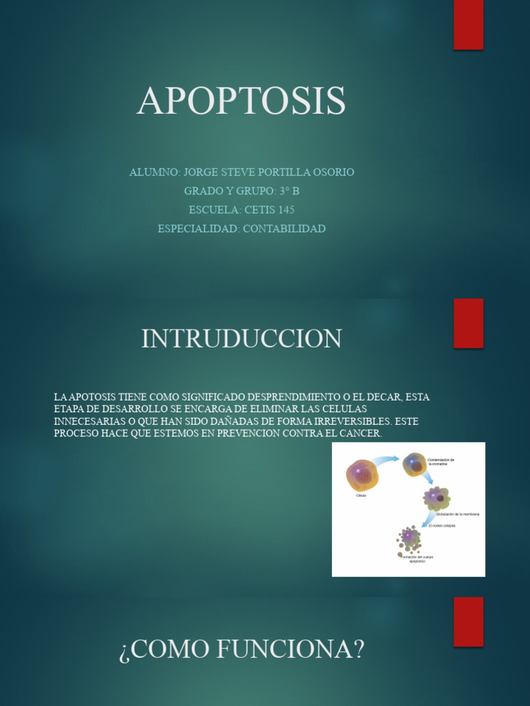 Apoptosis | PDF