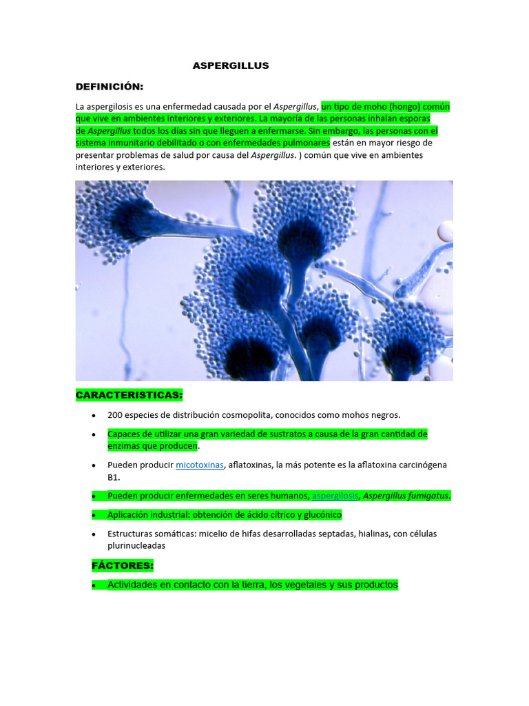 ASPERGILLUS | PDF | Tos | Alergia