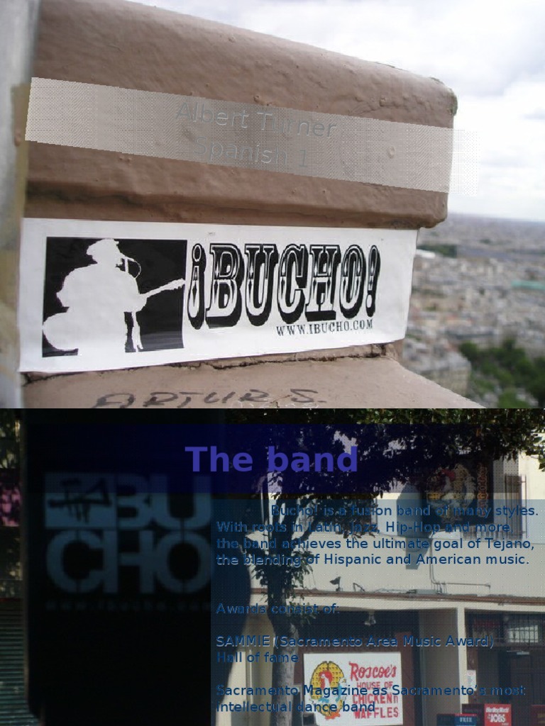 Bucho! Fusion Band Overview and Discography | PDF