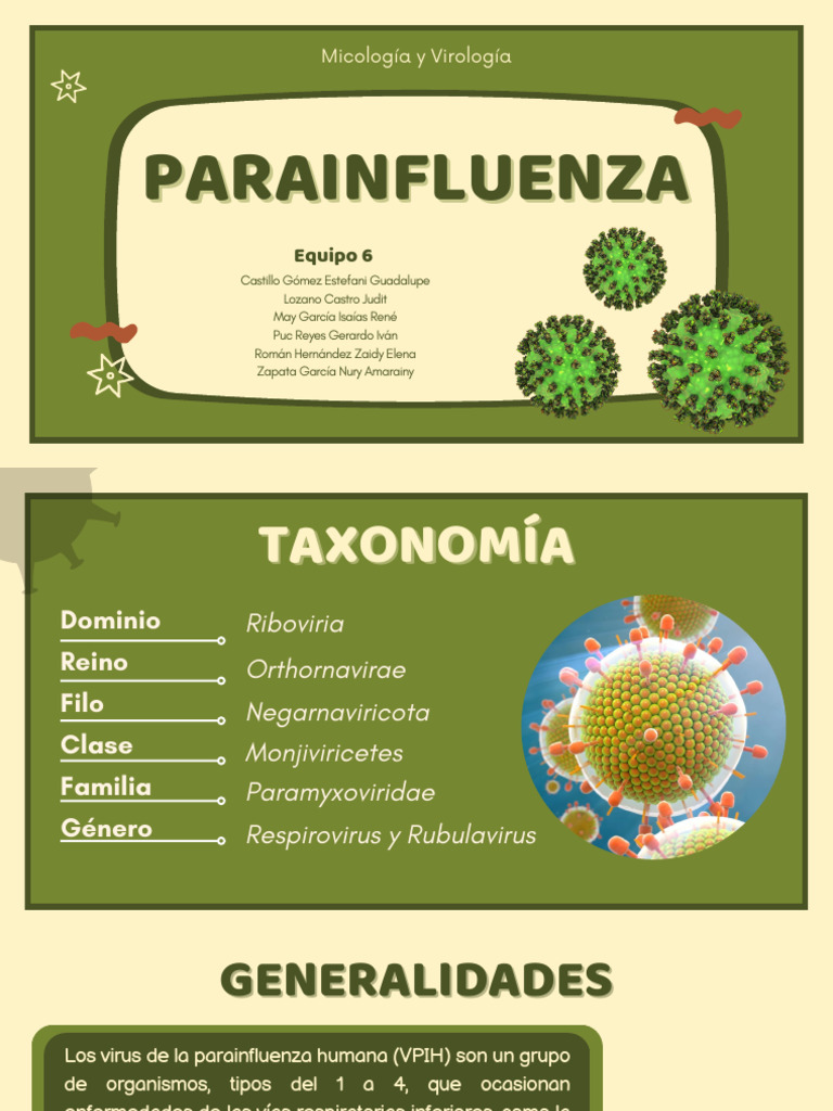 Parainfluenza E6 | PDF | Virus | Enfermedades animales