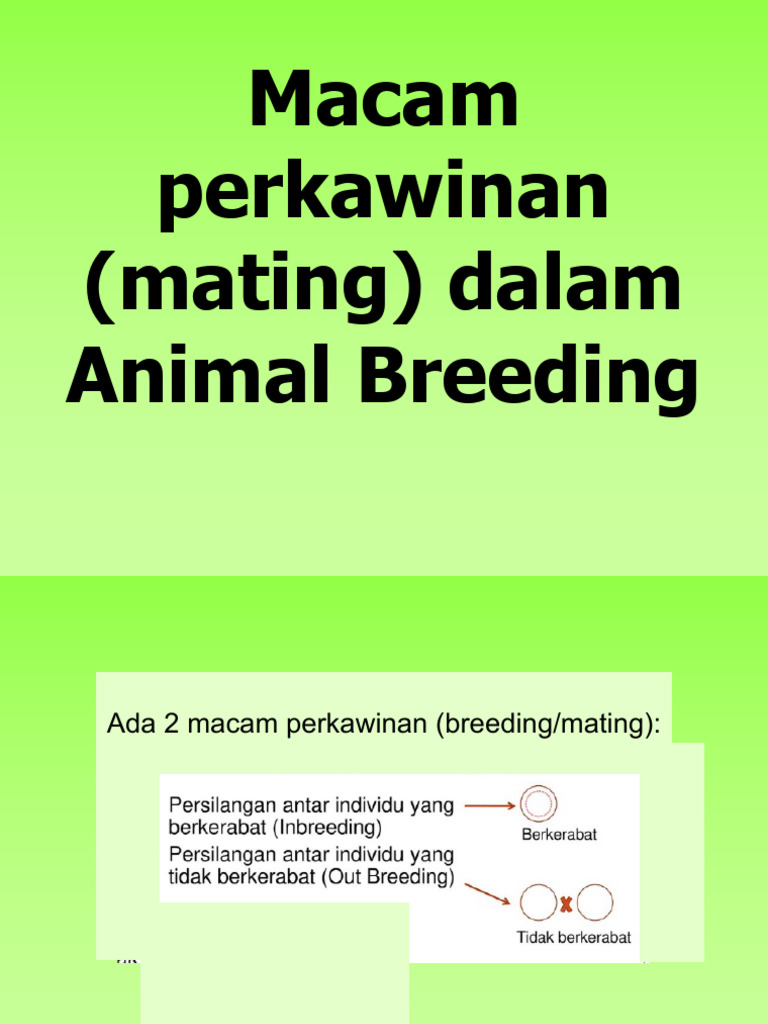 Outbreeding and Inbreeding | PDF