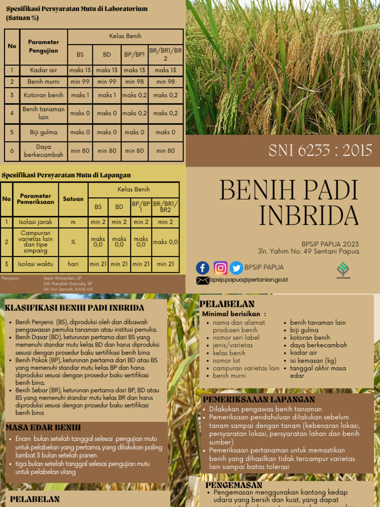 Leaflet Padi Inbrida | PDF