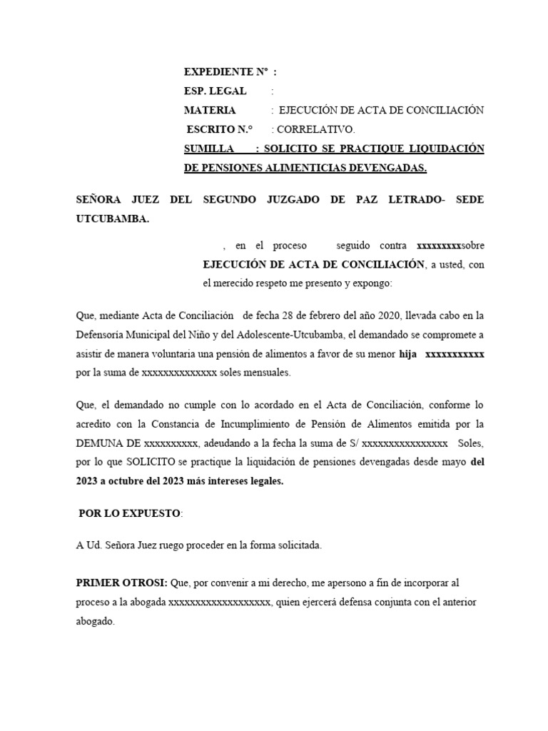 Propuesta de LIQUIDACION DE PENSIONES DEVENGADAS | PDF Propuesta de LIQUIDACION DE PENSIONES DEVENGADAS | PDF