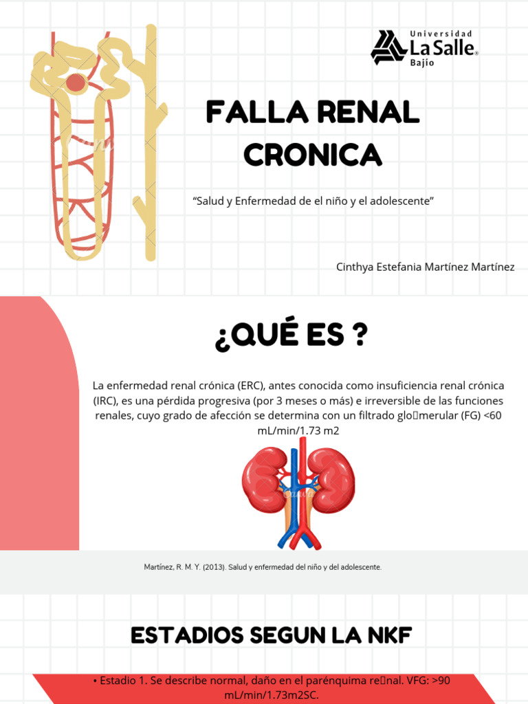 Falla Renal Cronica | Descargar gratis PDF | Enfermedad renal crónica ...