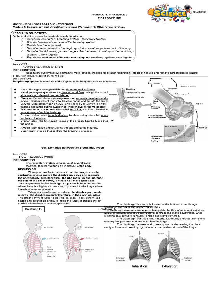 Handouts For Week 1 and 2 | PDF | Heart | Respiratory Tract