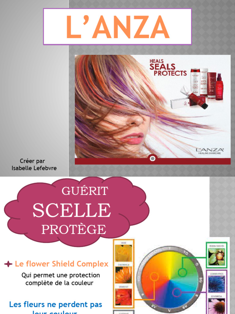 L'ANZA | PDF | Marron | Rouge