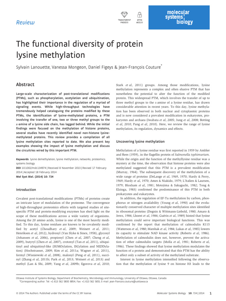 The Functional Diversity of Protein | PDF | Methylation | Amino Acid