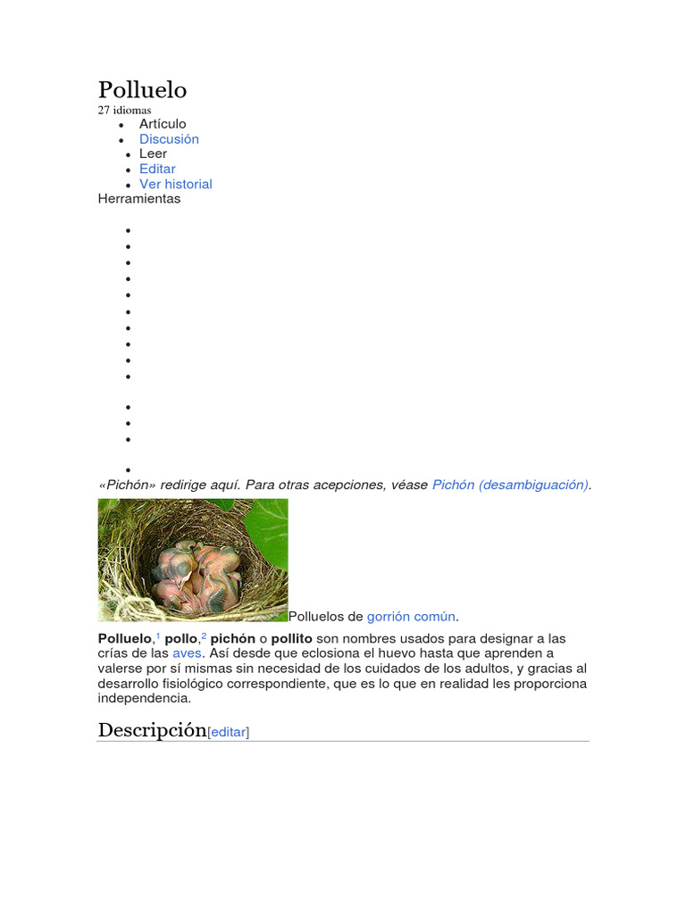 Polluelo | PDF | Aves | Ornitología