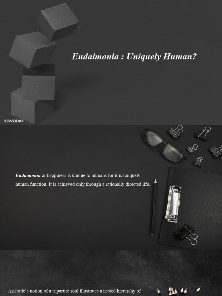 Eudaimonia: The Uniquely Human Function | PDF