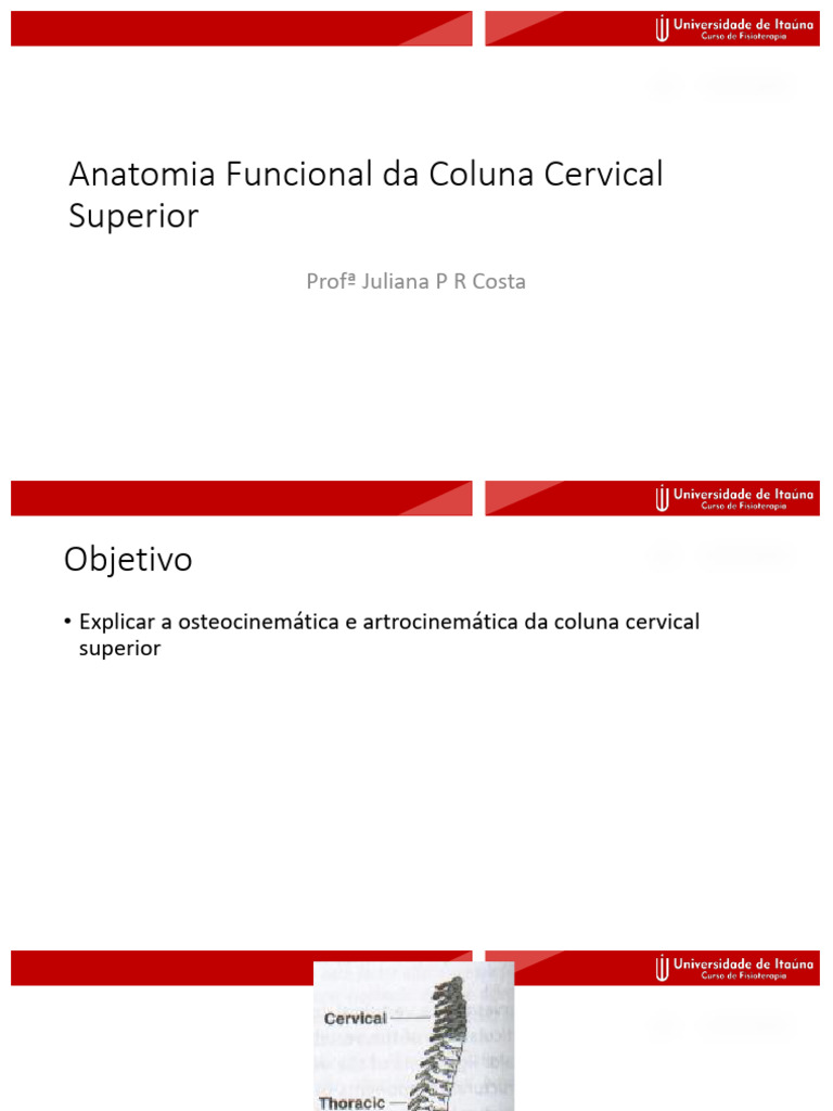 Anatomia Funcional da Coluna Cervical | PDF | Coluna vertebral ...
