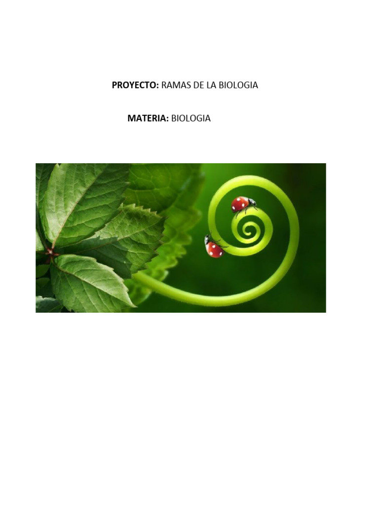 Ramas de La Biología | PDF | Biología | Organismos