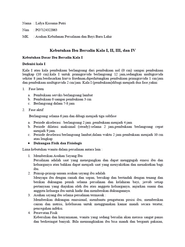 Panduan Asuhan Ibu Bersalin | PDF