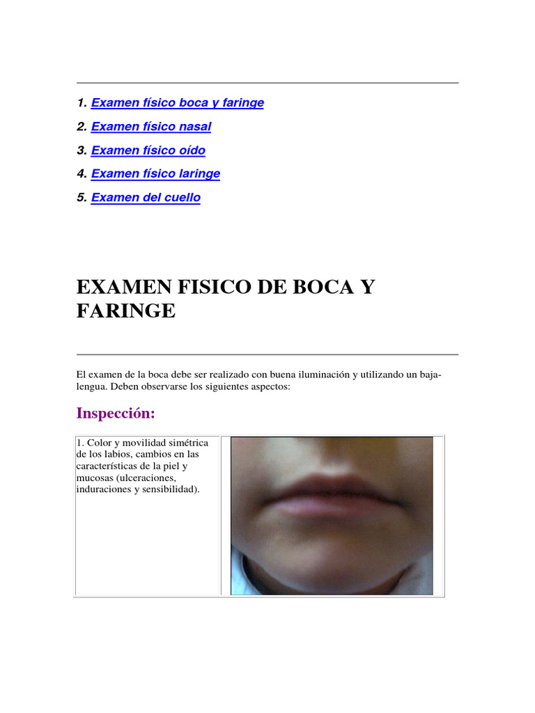 Examen Físico ORL | PDF | Boca | Oído