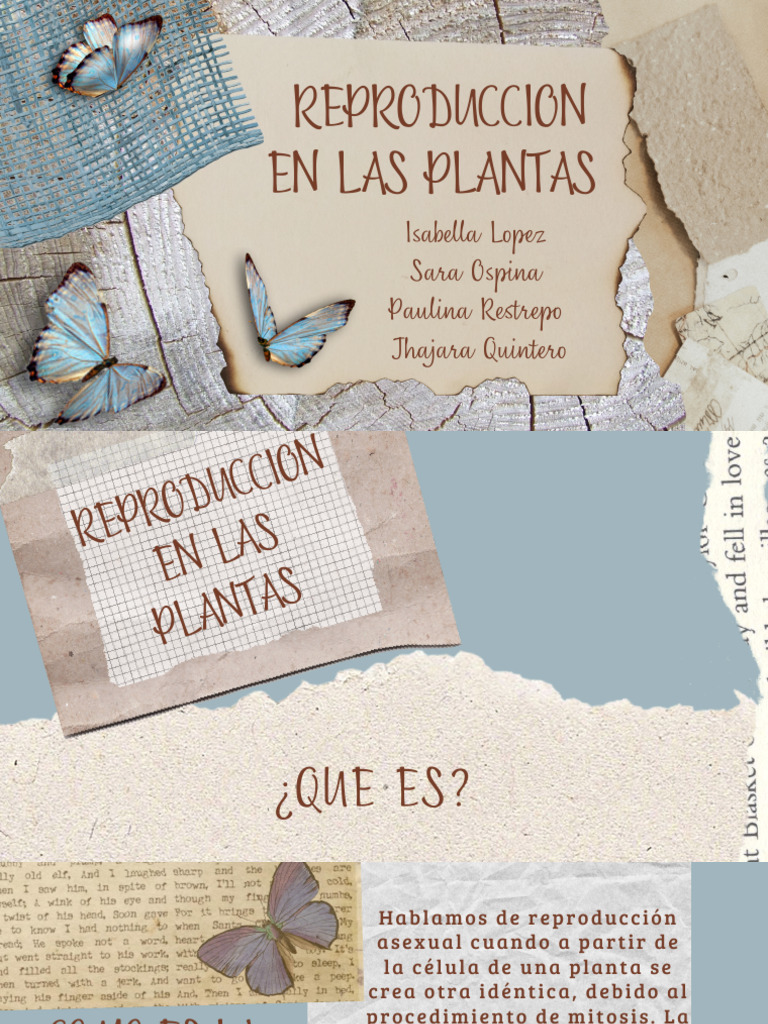 Presentación Insectos Benéficos Vintage Scrapbook Beige y Azul | PDF | Plantas | Espora
