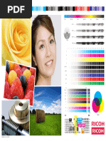 Onyx Quality Evaluation Guide | PDF | Printing | Computer Graphics