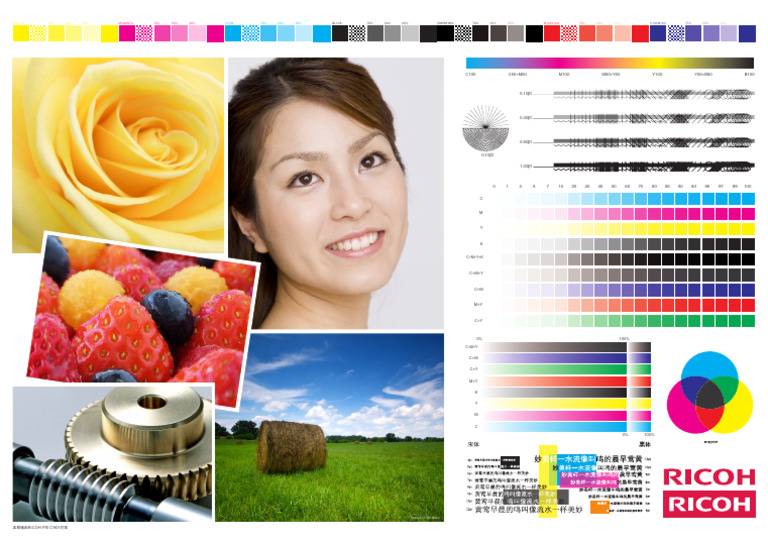 RICOH Test Chart 2 | PDF | Color | Visual Perception